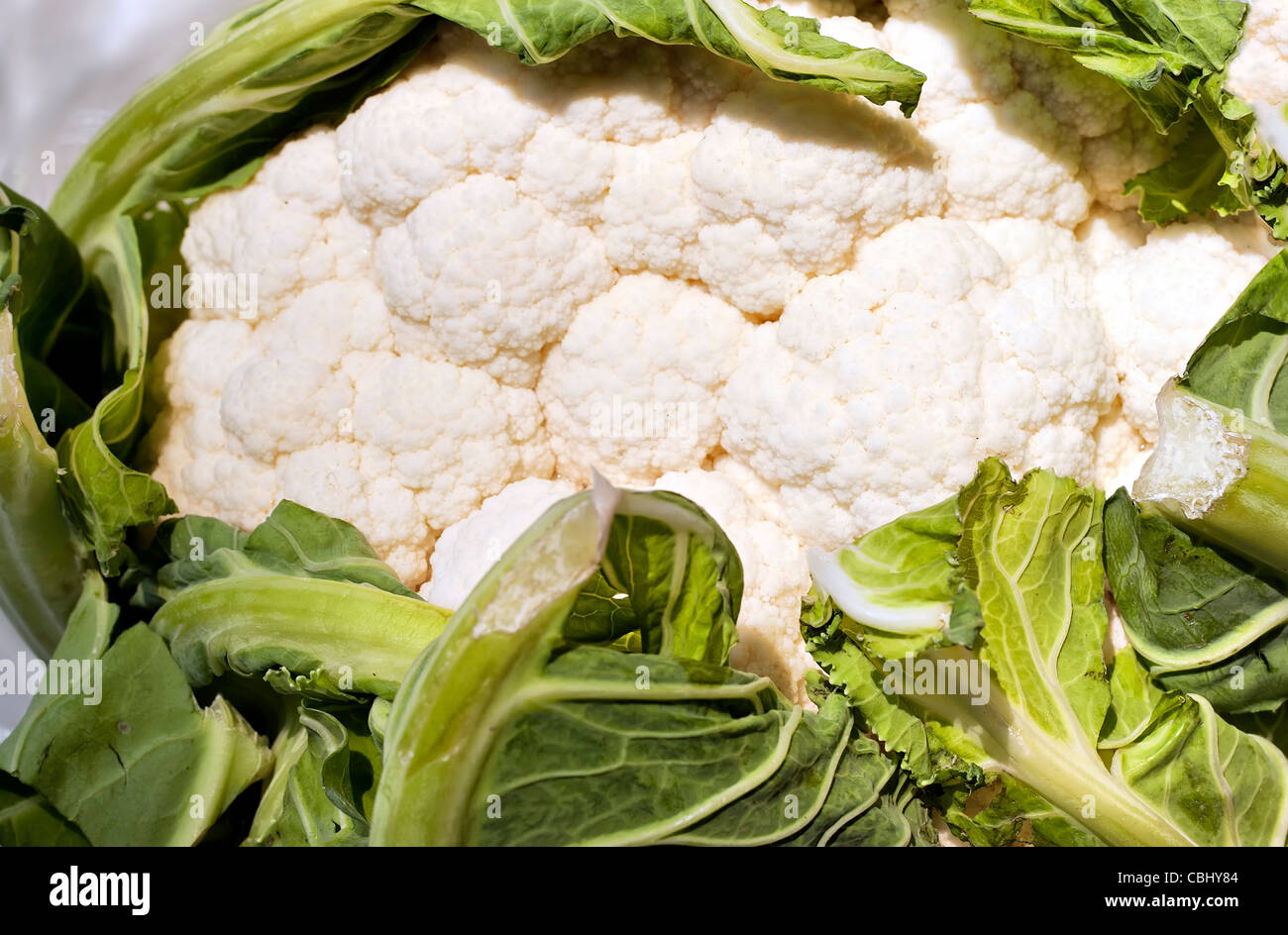 cauliflower , close up of an early winter time vegetable Stock Photo ...