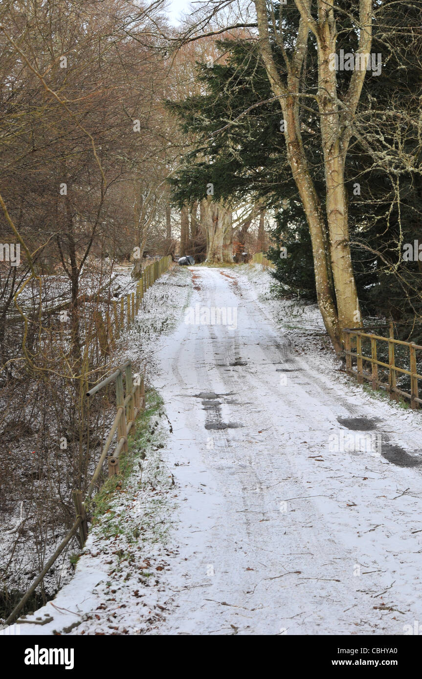 Snow, Bridge, River, Trees, Woods Stock Photo - Alamy