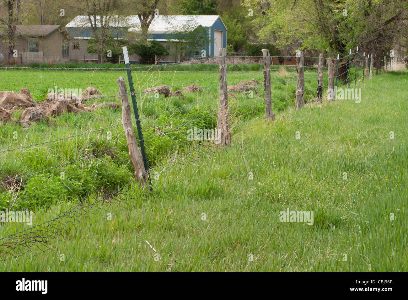 Old farm fence in Montrose, Colorado Stock Photo - Alamy