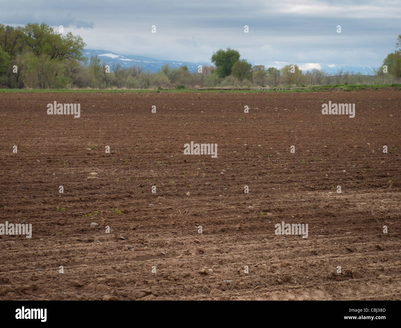 Freshly ploughed field in Montrose, Colorado Stock Photo - Alamy