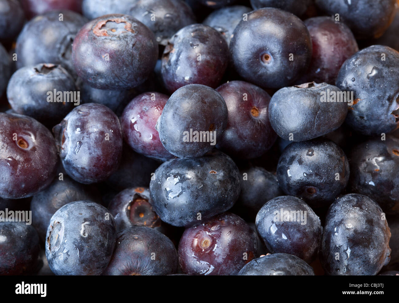 Blueberries in a box hi-res stock photography and images - Alamy