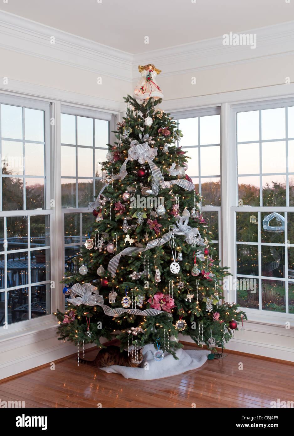 Festive christmas corner tree hi-res stock photography and images - Alamy