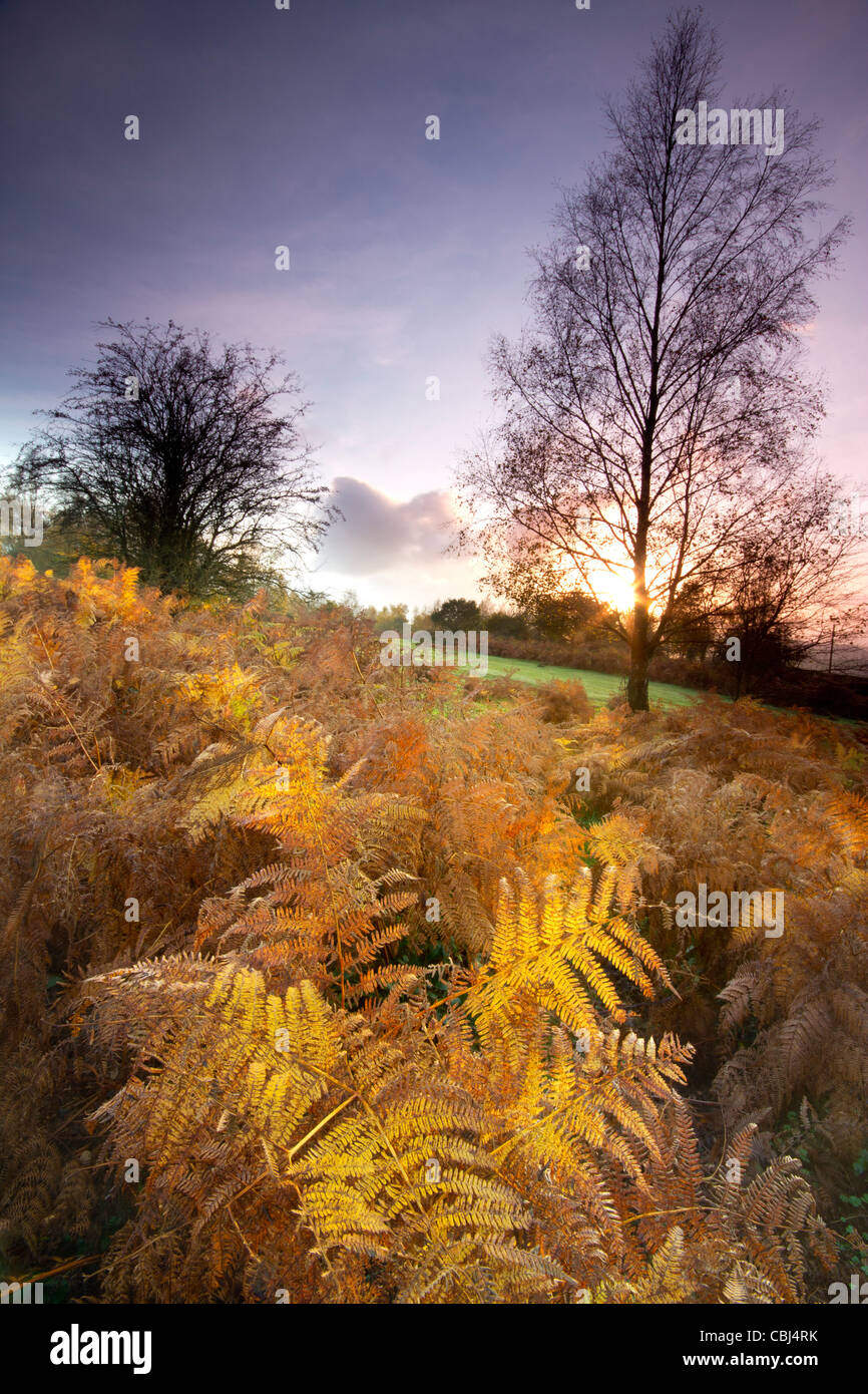 May hill hi-res stock photography and images - Alamy