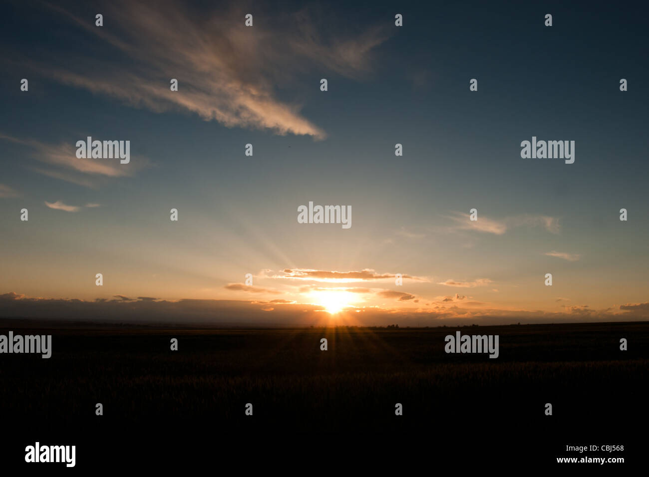 Field under sunset light in Colorado Stock Photo - Alamy