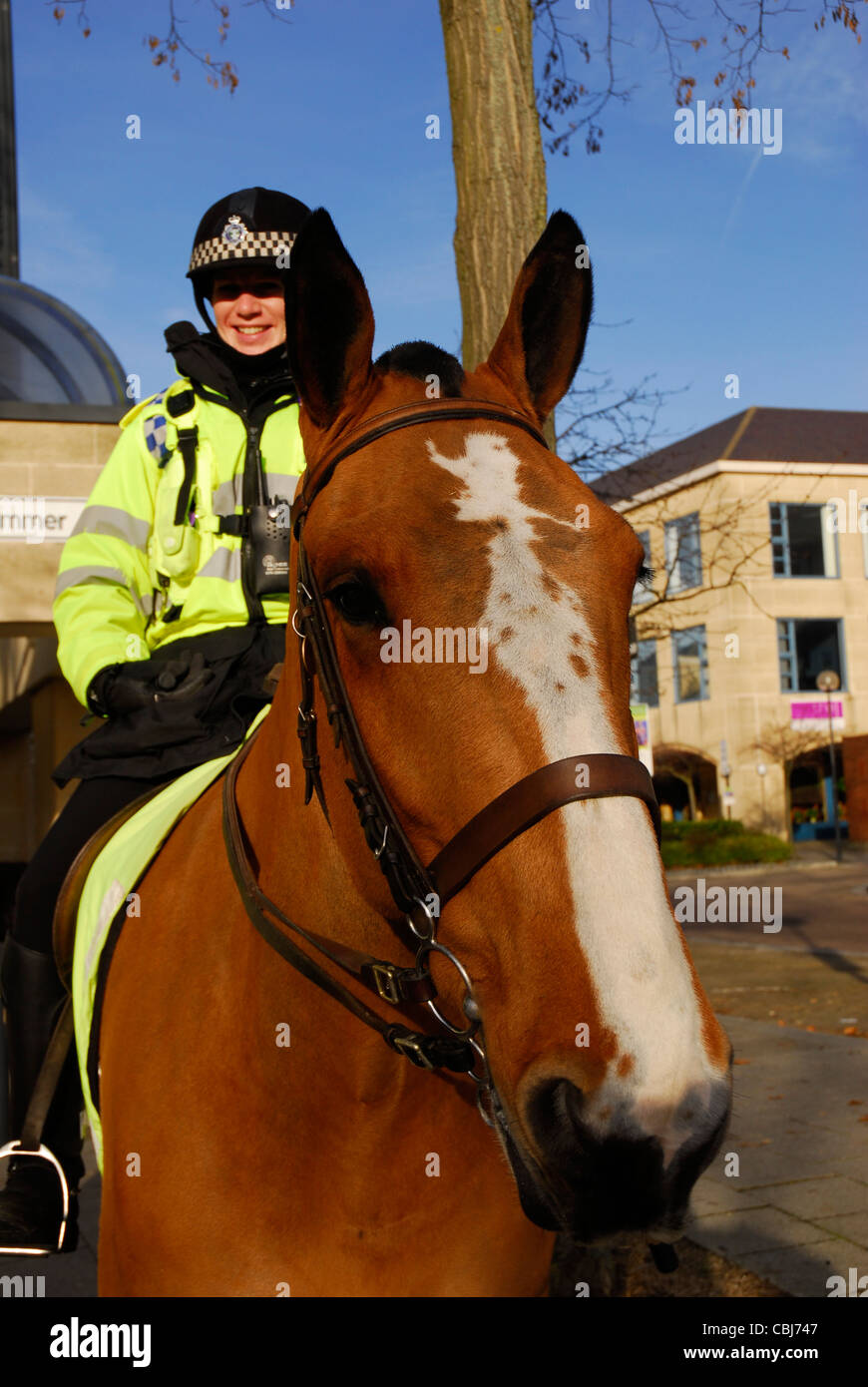 Police presence for the Red Bull Home Run in Milton Keynes on December ...