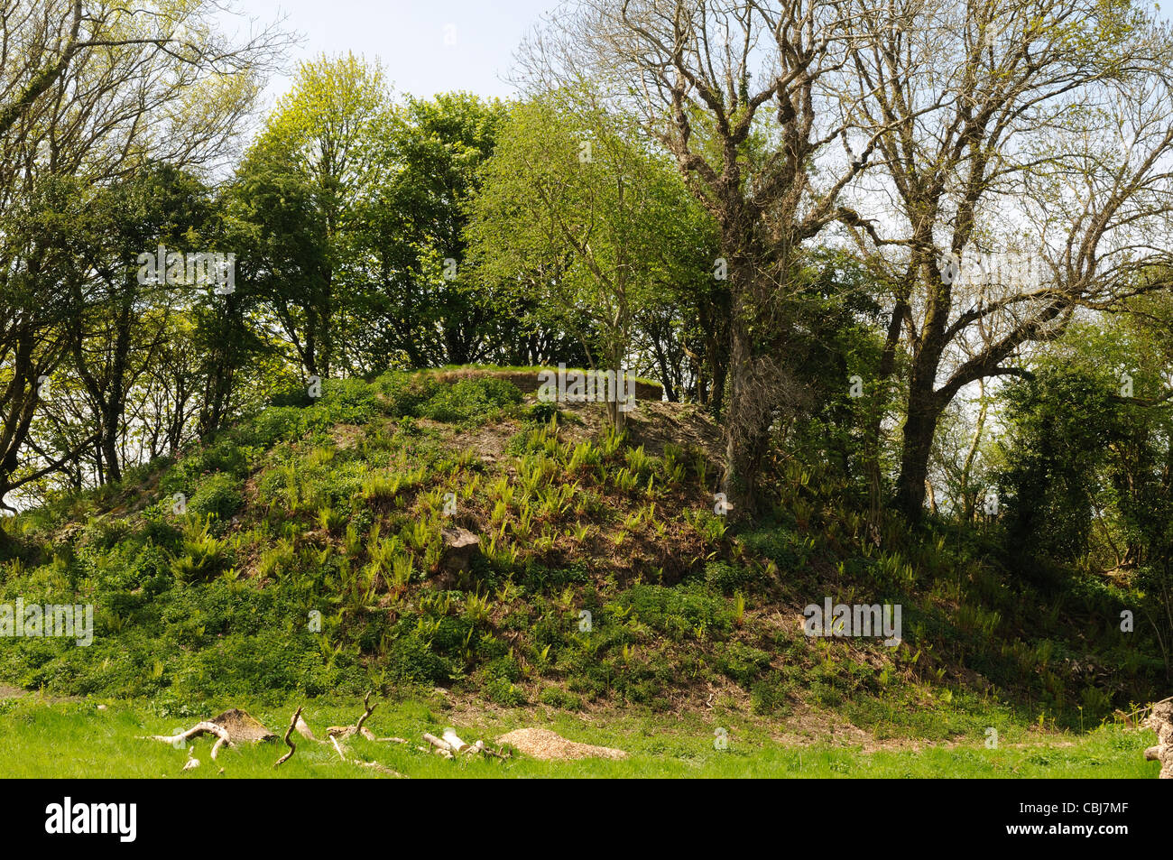 The ruins of Nevern Motte and Bailey Castle Castell Nanhyfer ...