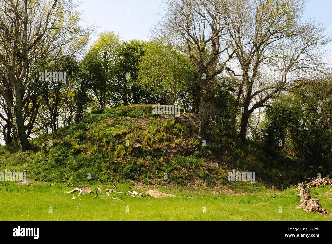 The ruins of Nevern Motte and Bailey Castle Castell Nanhyfer ...