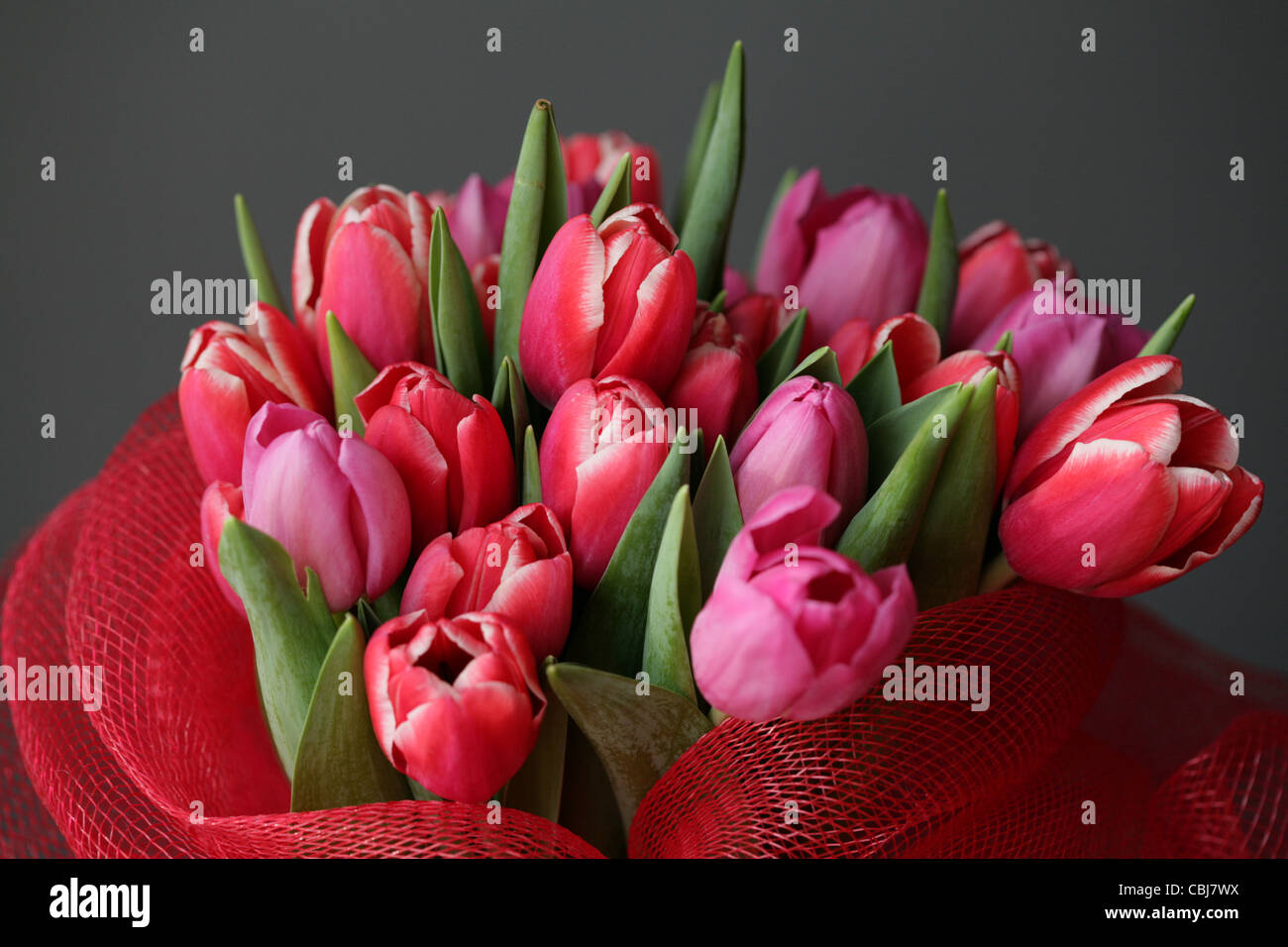 Bouquet of pink tulips Stock Photo - Alamy