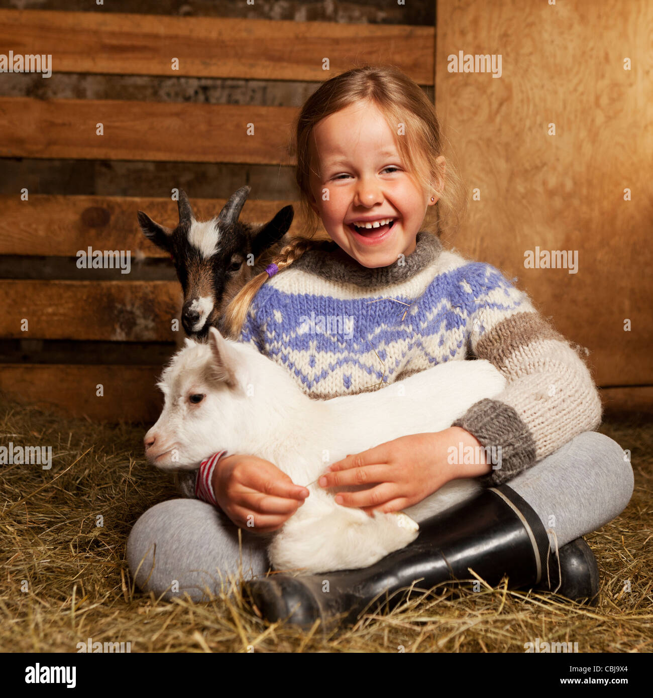 Girl holidng goat kid, Goat farm Iceland Stock Photo - Alamy
