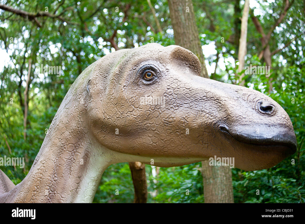 Dinosaur maiasaurus in woods Stock Photo - Alamy