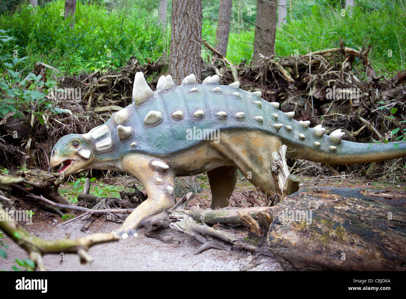 Dinosaur fossil close up hi-res stock photography and images - Alamy