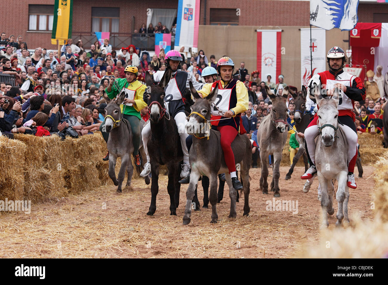 Donkey racing hi-res stock photography and images - Alamy