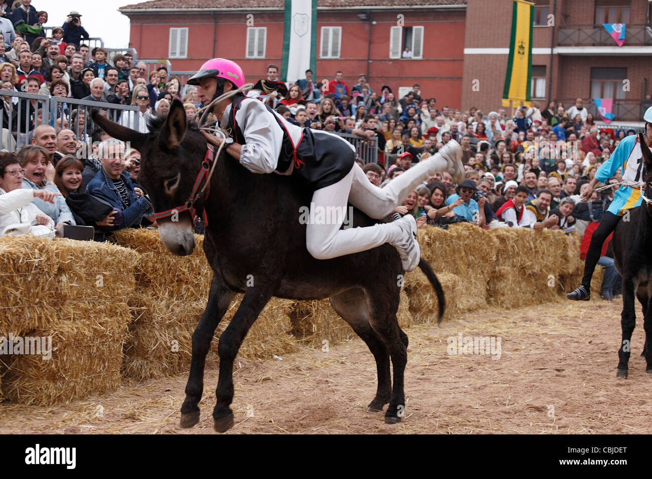 Donkey racing hi-res stock photography and images - Alamy