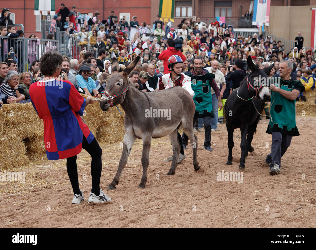 Donkey racing hi-res stock photography and images - Alamy