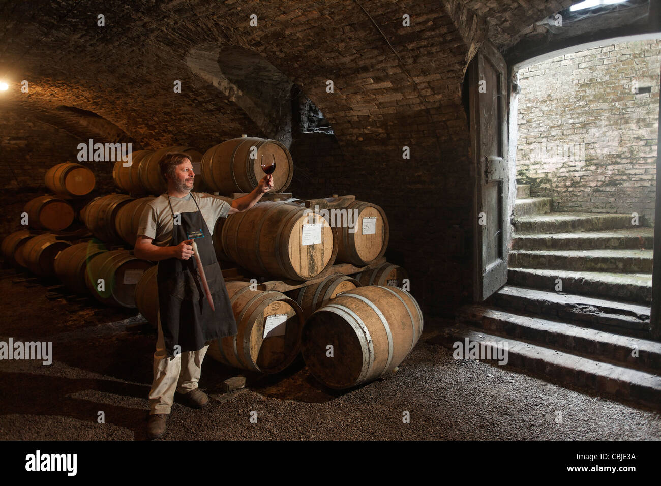 Barolo Barrique, Wine Cellar Ronato Ferrero, La Morra, Langhe, Piedmont ...