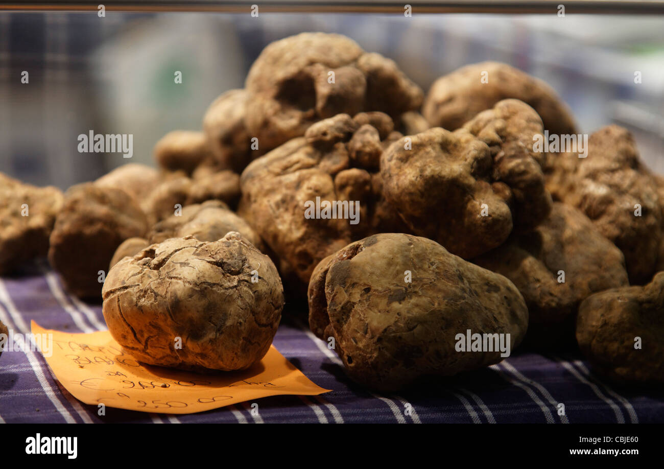 Alba white truffle fair italy hi-res stock photography and images - Alamy