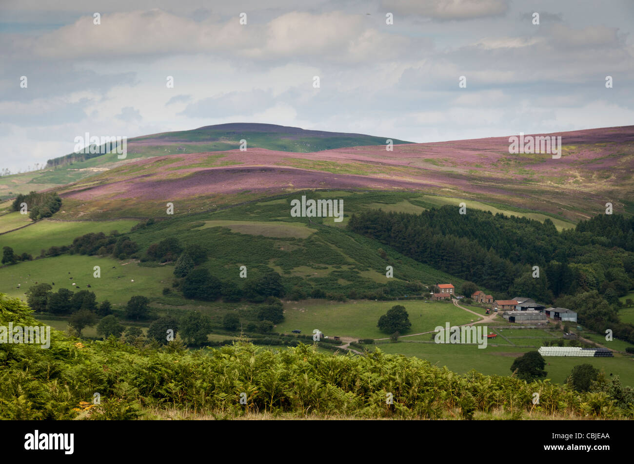 Bilsdale moor view, North York Moors Stock Photo - Alamy