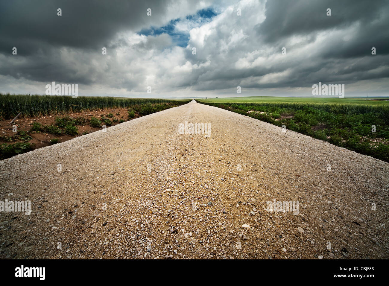 Agriculture crops road hi-res stock photography and images - Alamy