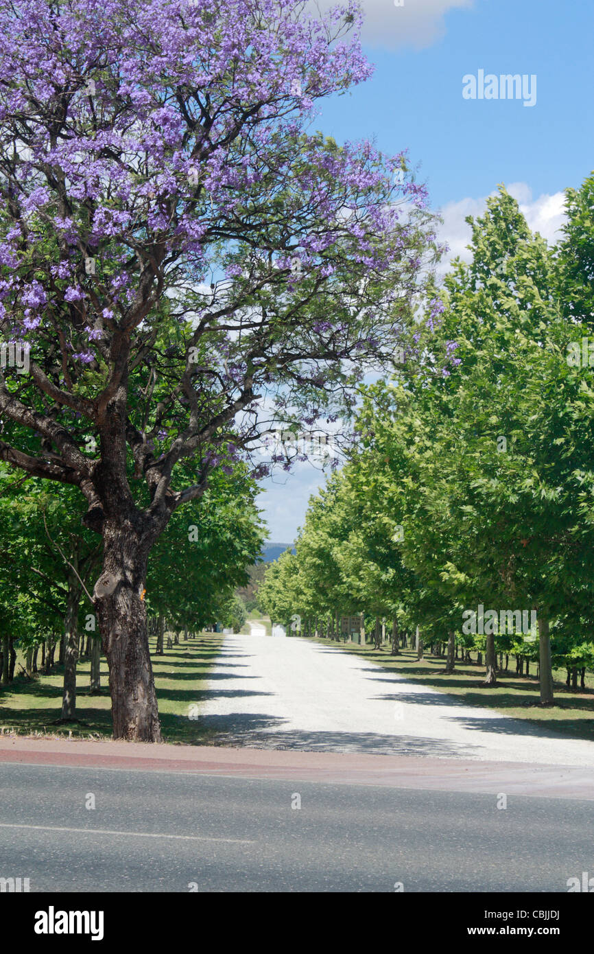 Lancaster winery hi-res stock photography and images - Alamy