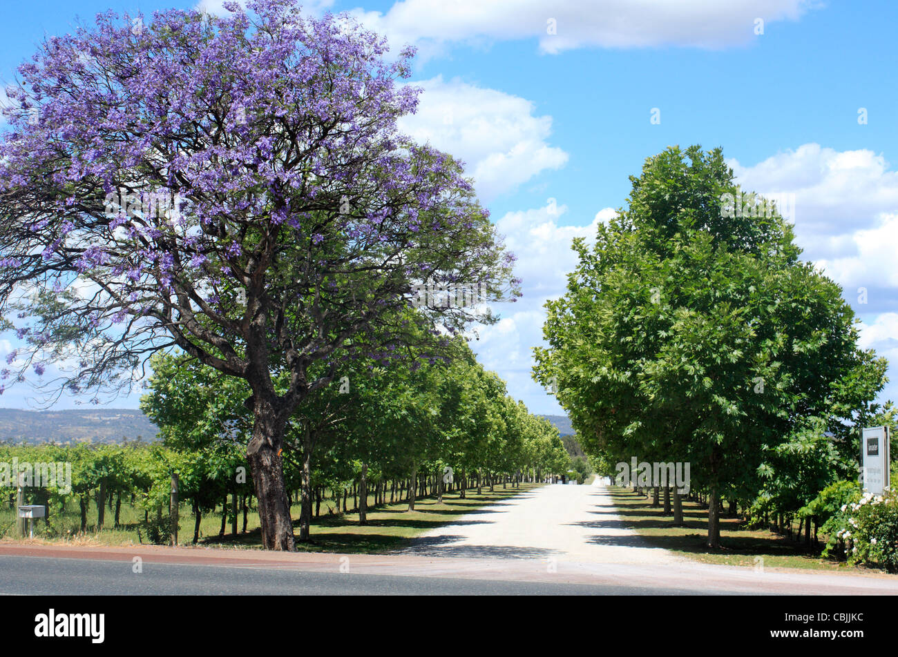 The Lancaster Winery Estate Entrance Swan Valley Perth Western ...