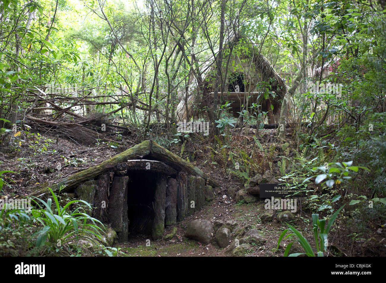 Replica maori buildings at Rewa Village, above the Historic Basin at ...