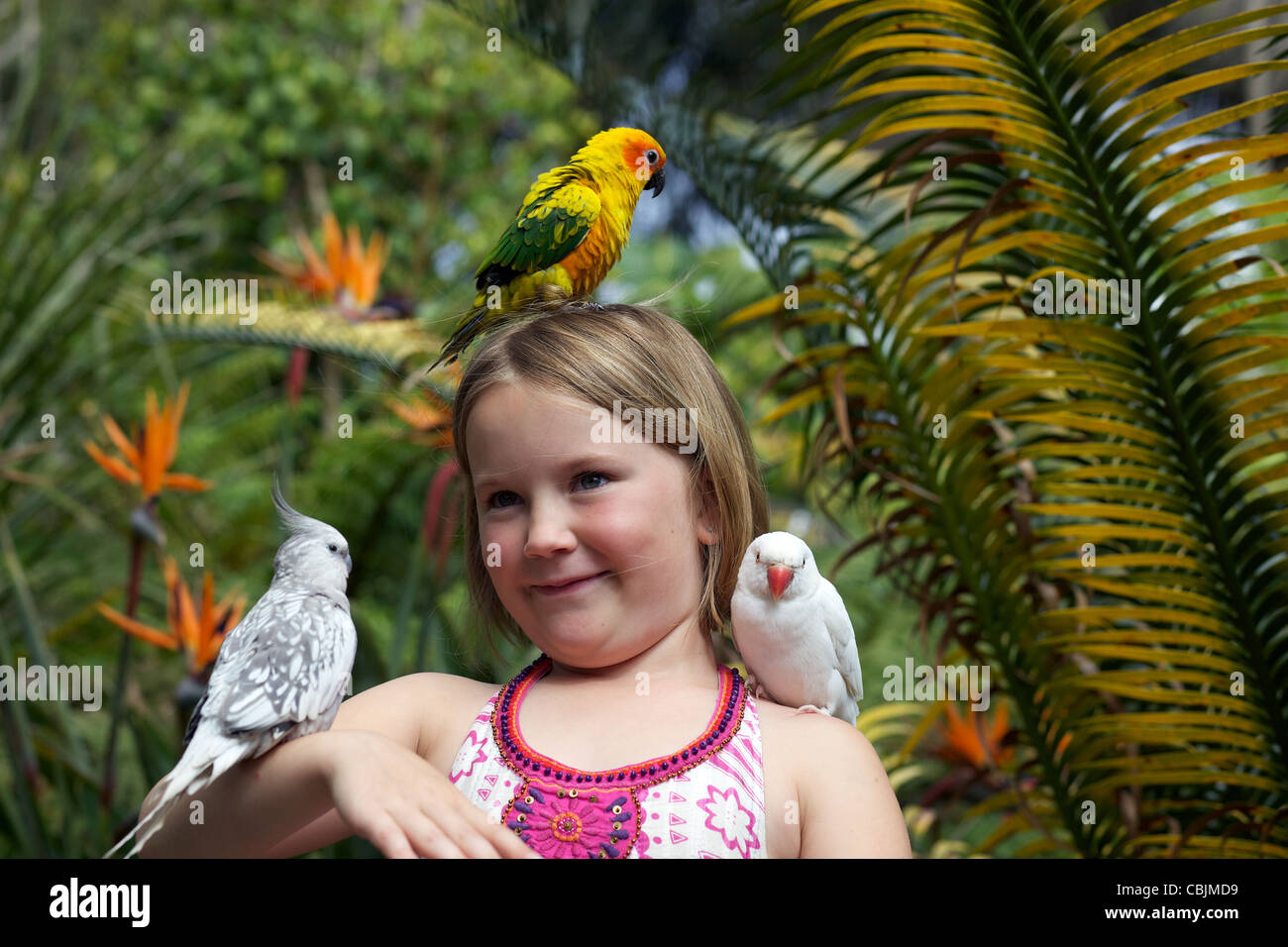 A young girl with coloured parrots at Parrot Place, Mission Road ...