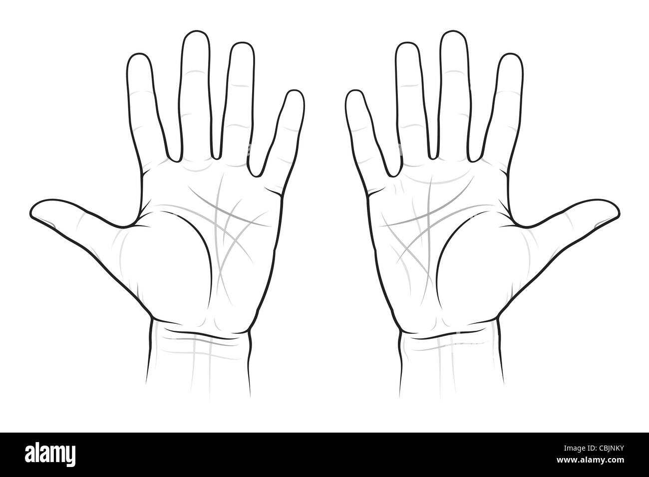 Palmistry chart hi-res stock photography and images - Alamy