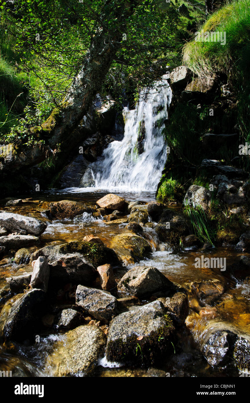 Mountain stream cascade hi-res stock photography and images - Alamy