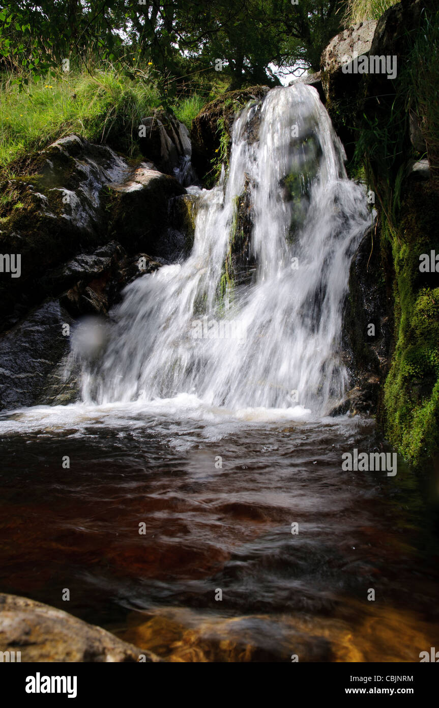 Stream pool scotland hi-res stock photography and images - Alamy