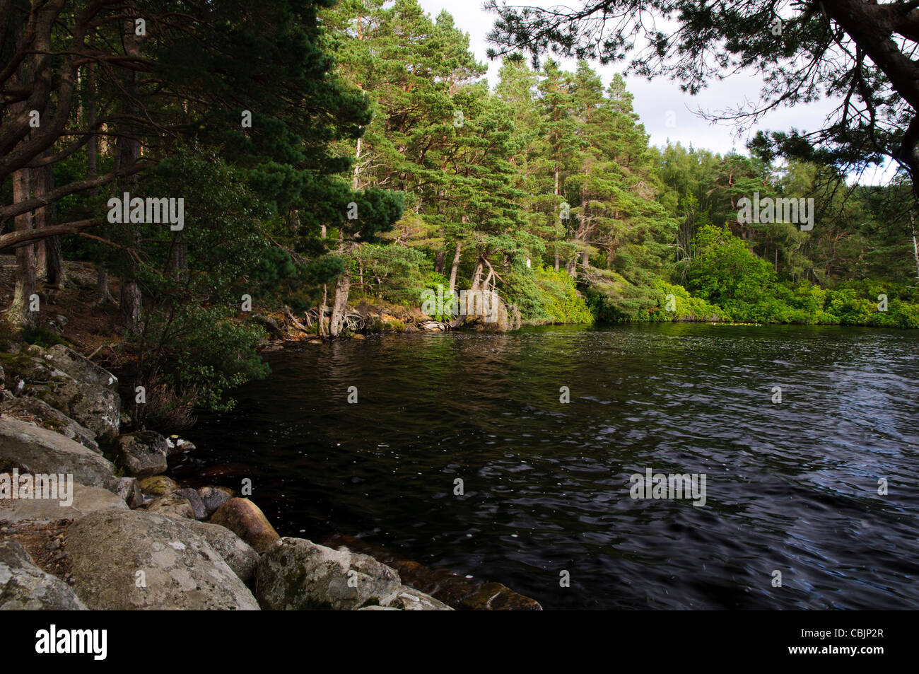 Farr scotland hi-res stock photography and images - Alamy