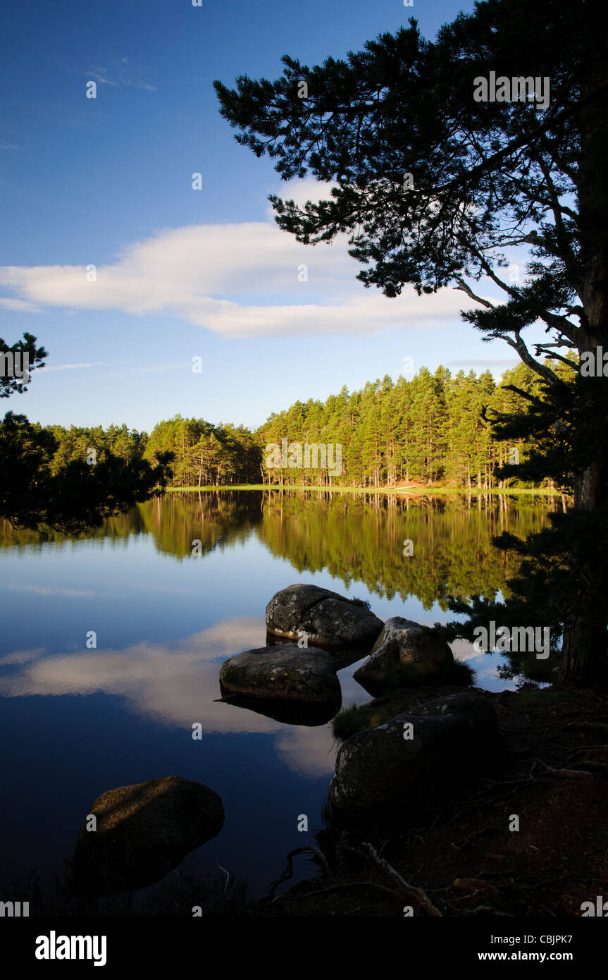 Loch garten scotland hi-res stock photography and images - Alamy