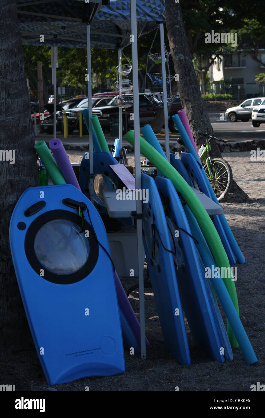 Snorkel board noodle hi-res stock photography and images - Alamy
