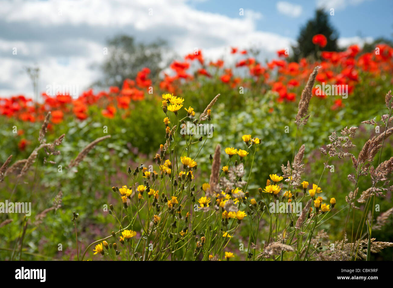 7812 hi-res stock photography and images - Alamy