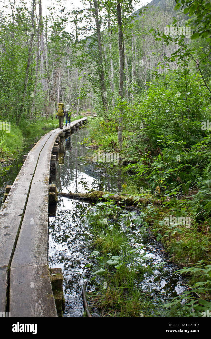 Trekkers crossing mudflats on wooden platforms. Chilkoot Trail. Alaska ...