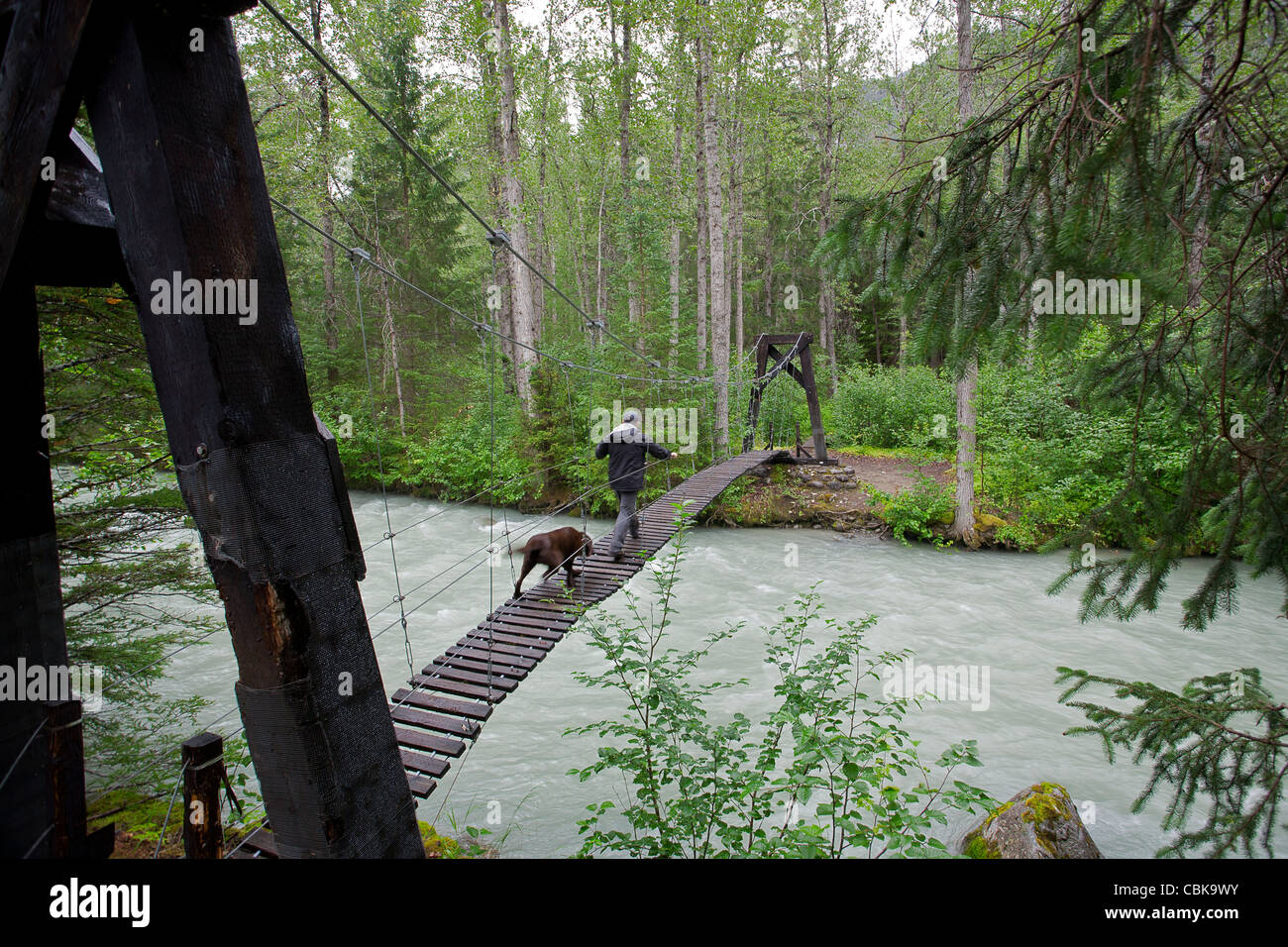 Man and dog crossing a suspension footbridge over the Taiya river ...