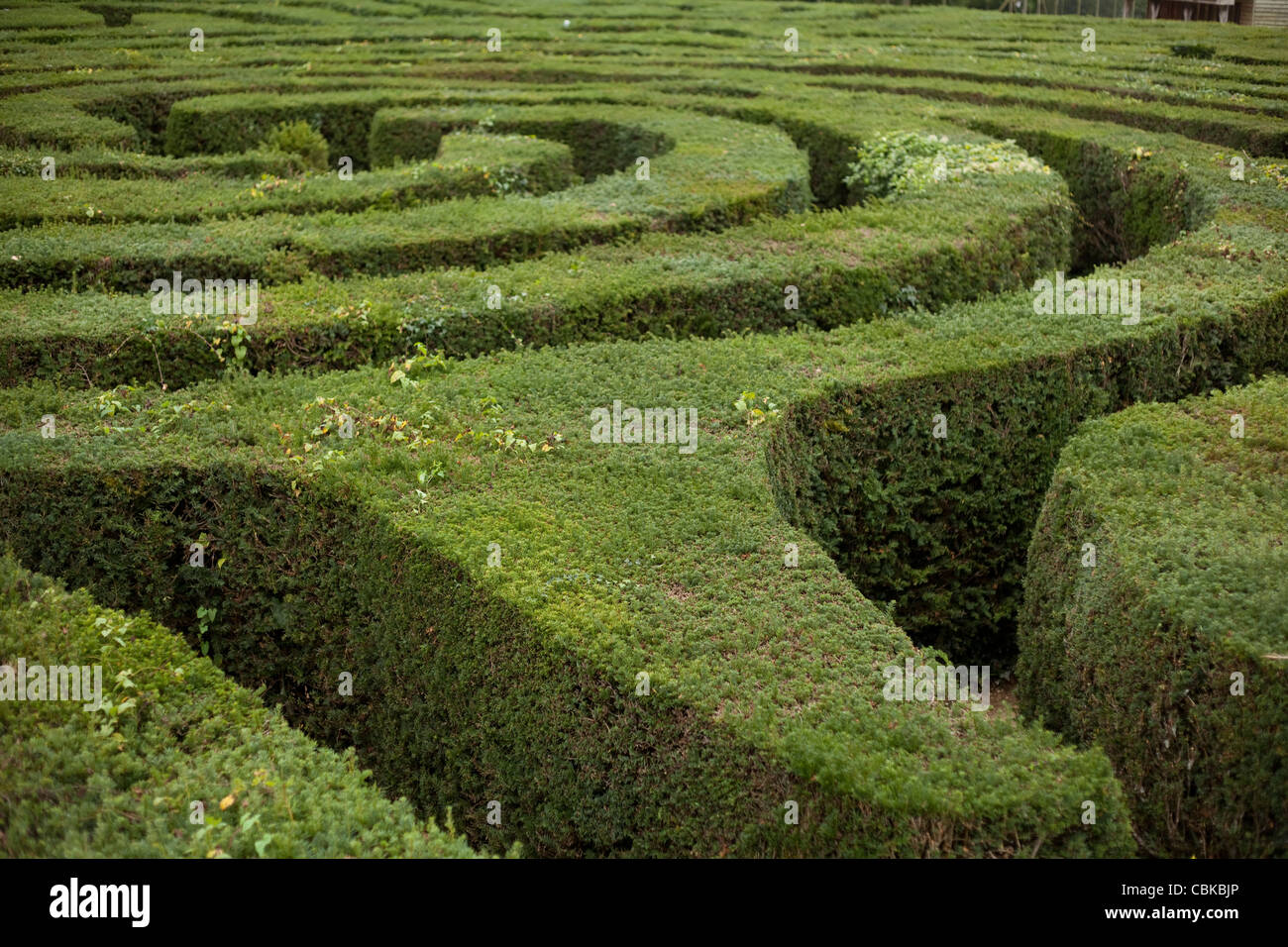 Maze Above Stock Photos & Maze Above Stock Images - Alamy