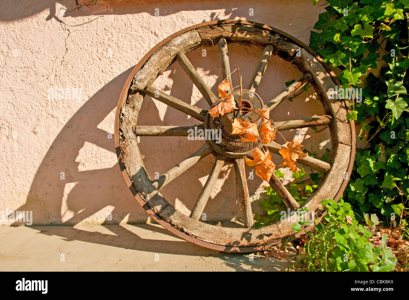 Rotten cart hi-res stock photography and images - Alamy
