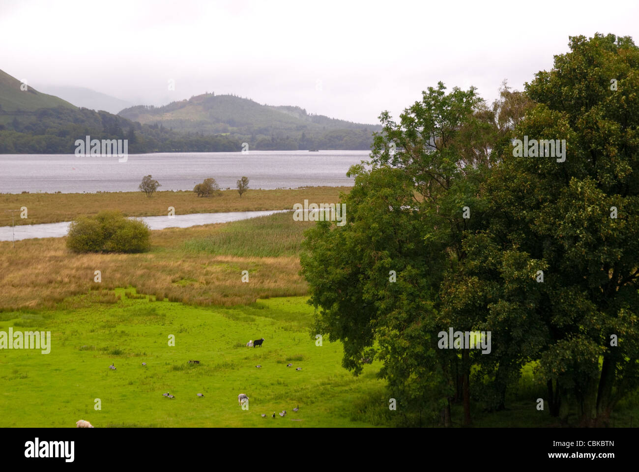 derwent water lake district Stock Photo - Alamy