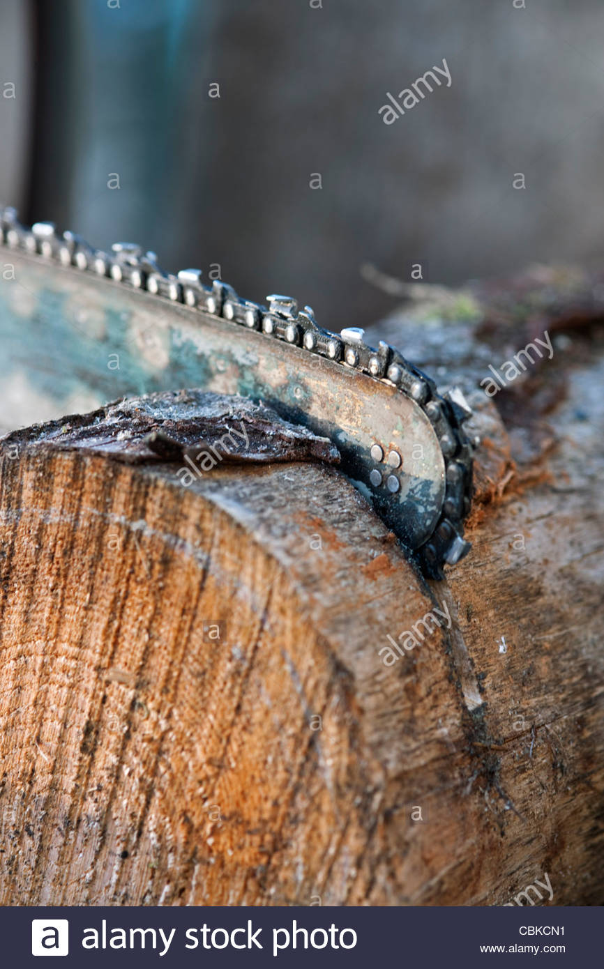 Sawing Timber Stock Photos & Sawing Timber Stock Images - Alamy