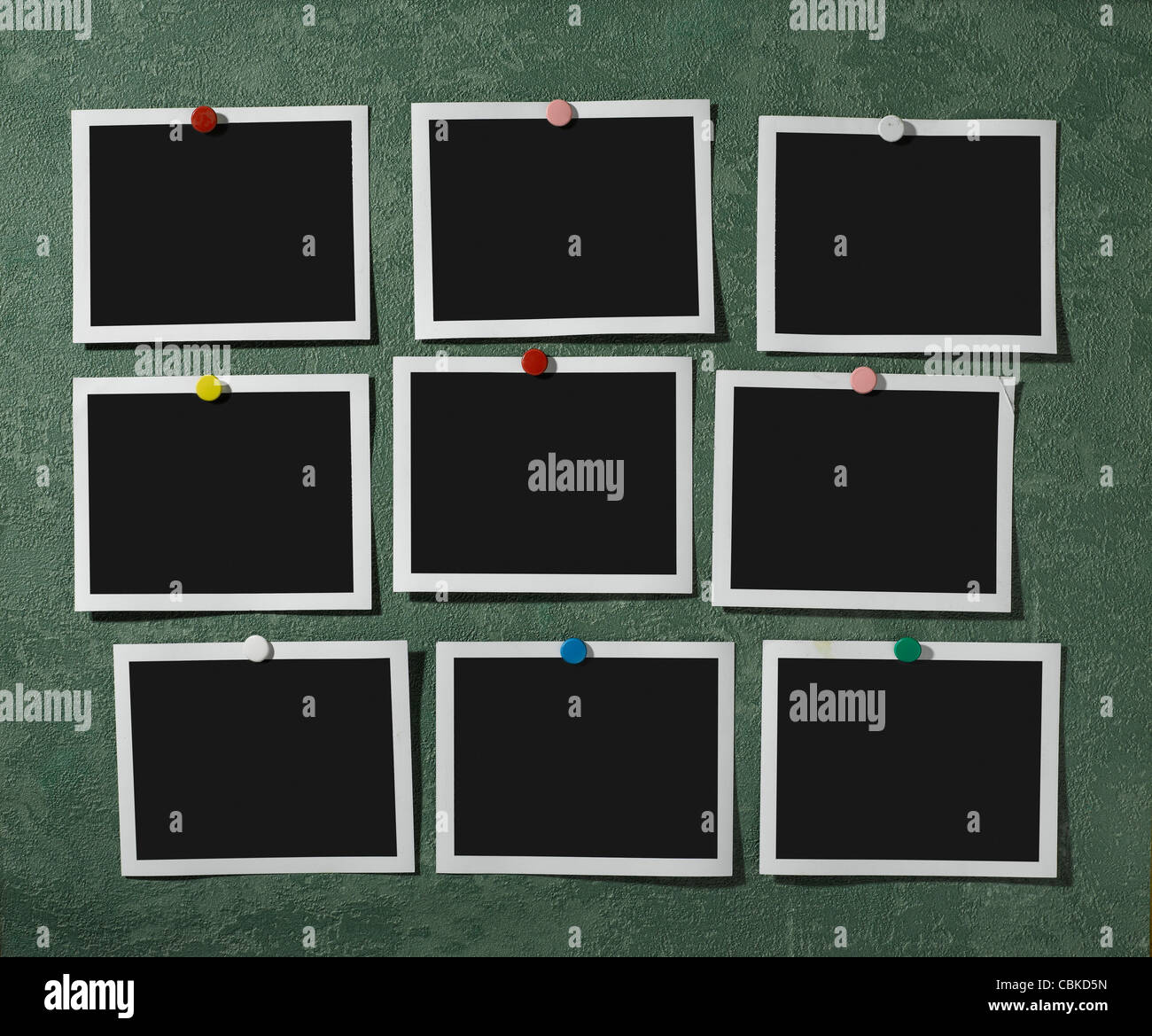 instant photo on green background Stock Photo - Alamy