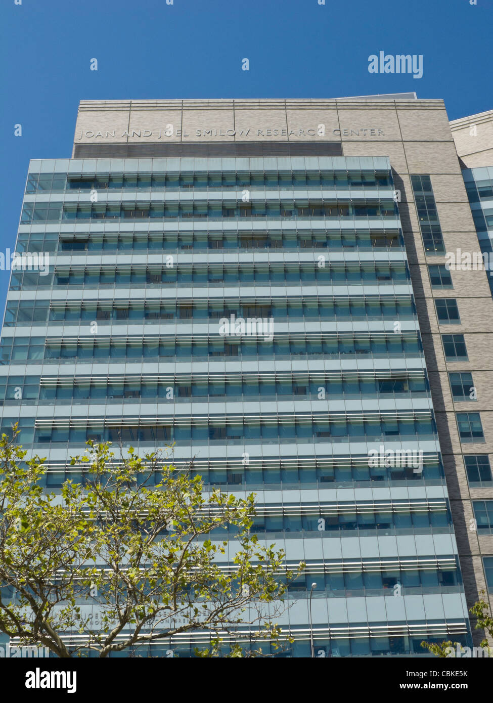 Smilow research building hi-res stock photography and images - Alamy