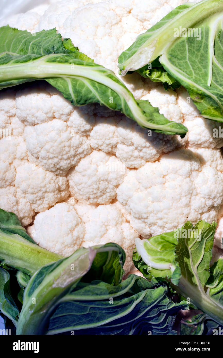 vegetable close up, detail of a cauliflower Stock Photo - Alamy