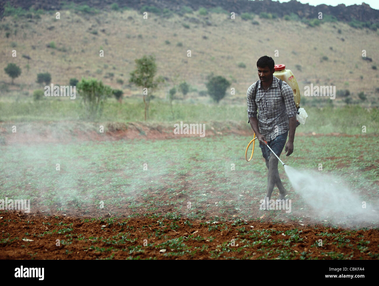 Spraying pesticide hi-res stock photography and images - Alamy