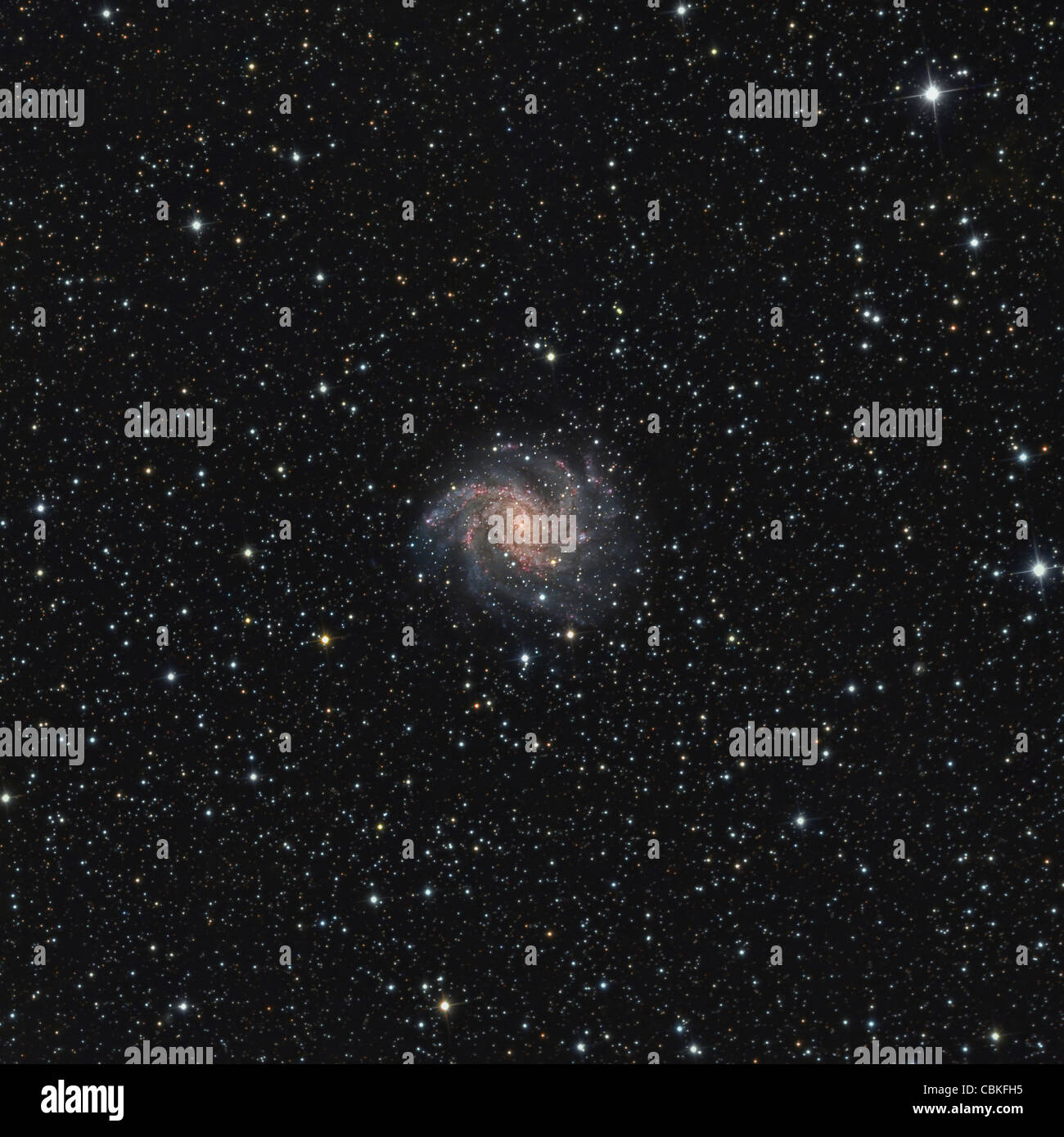 Spiral galaxy NGC 6946, also known as the Fireworks Galaxy Stock Photo ...