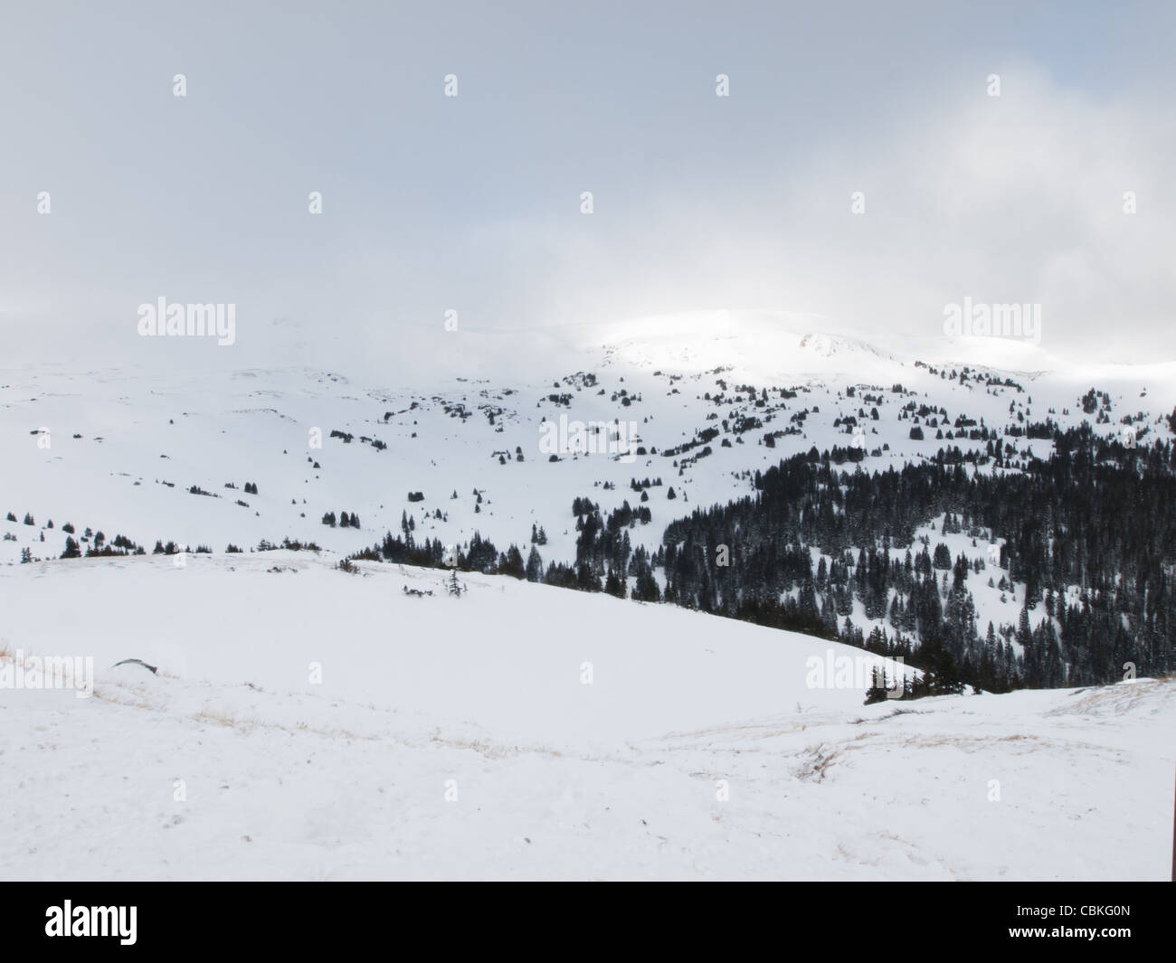 Snowy winter scene high in the mountain. Colorado Rocky Mountains USA ...