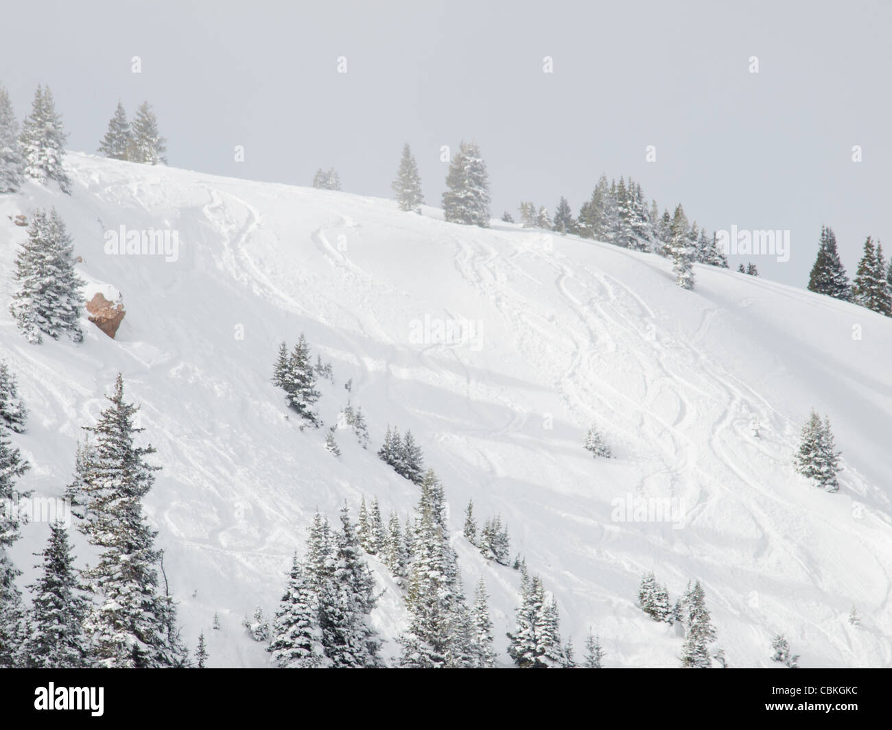 Snowy winter scene high in the mountain. Colorado Rocky Mountains USA ...