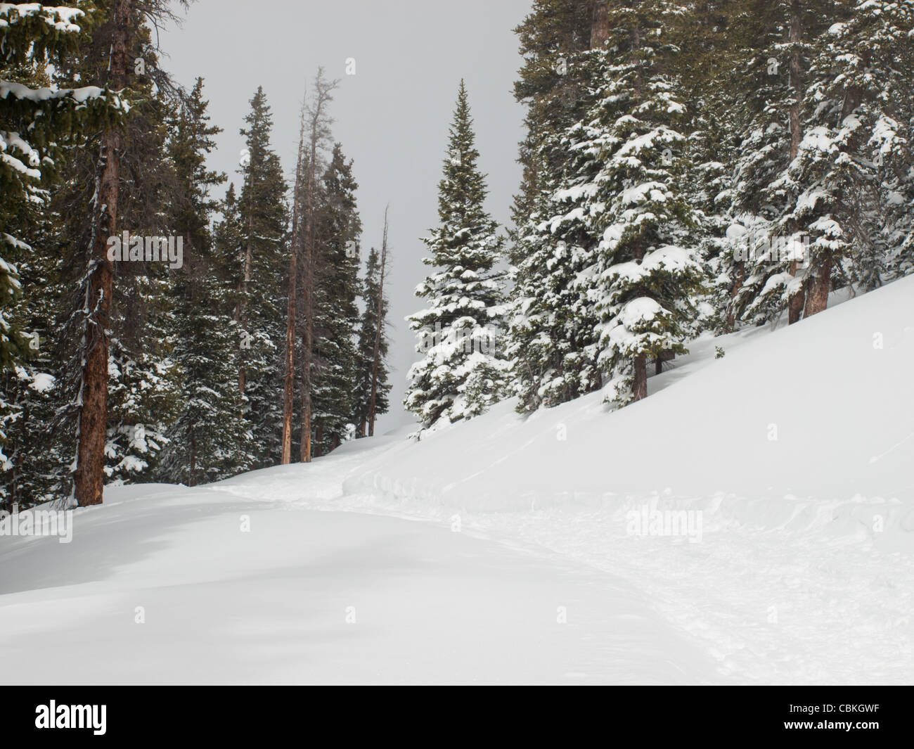 Snowy winter scene high in the mountain. Colorado Rocky Mountains USA ...