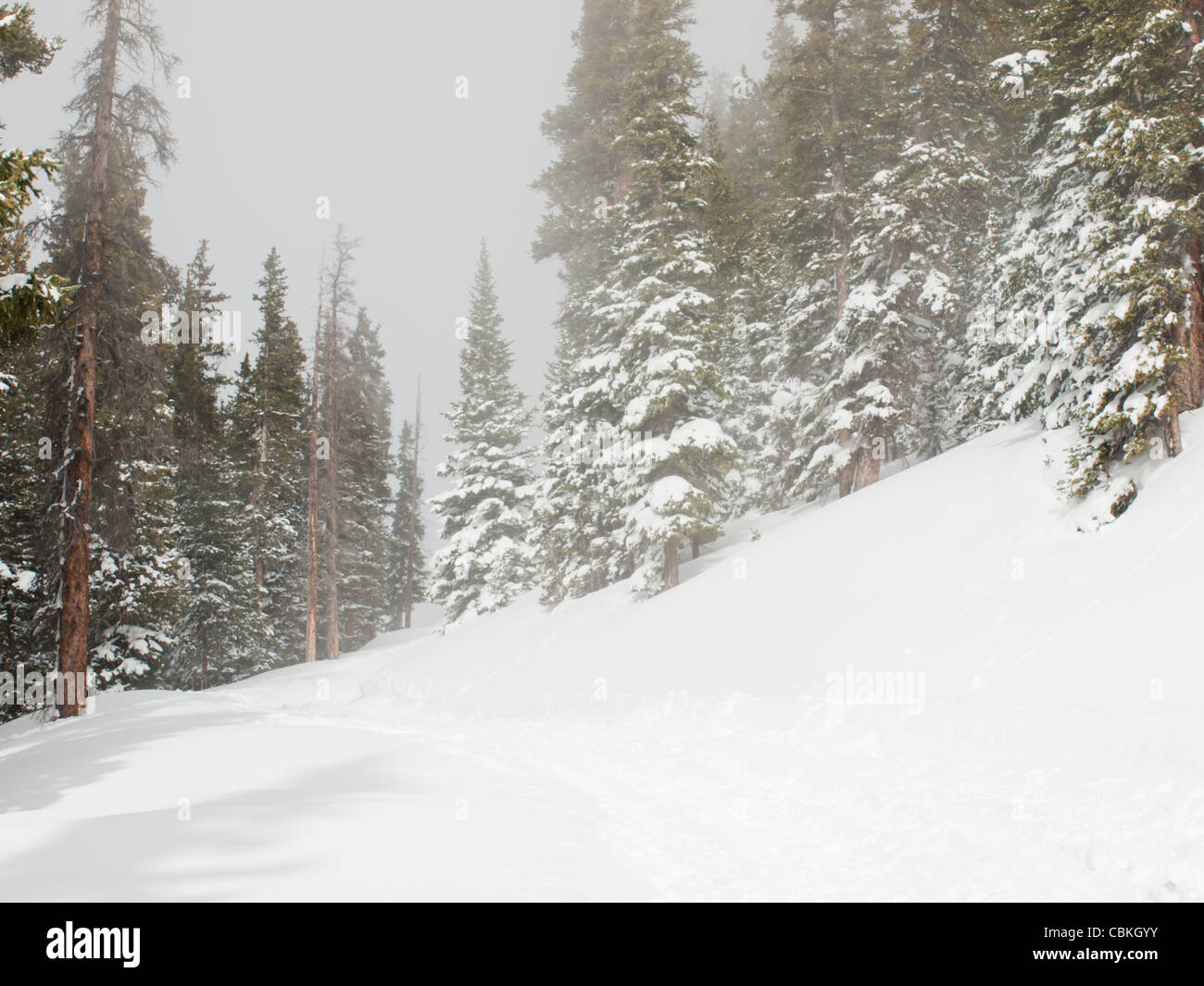 Snowy winter scene high in the mountain. Colorado Rocky Mountains USA ...