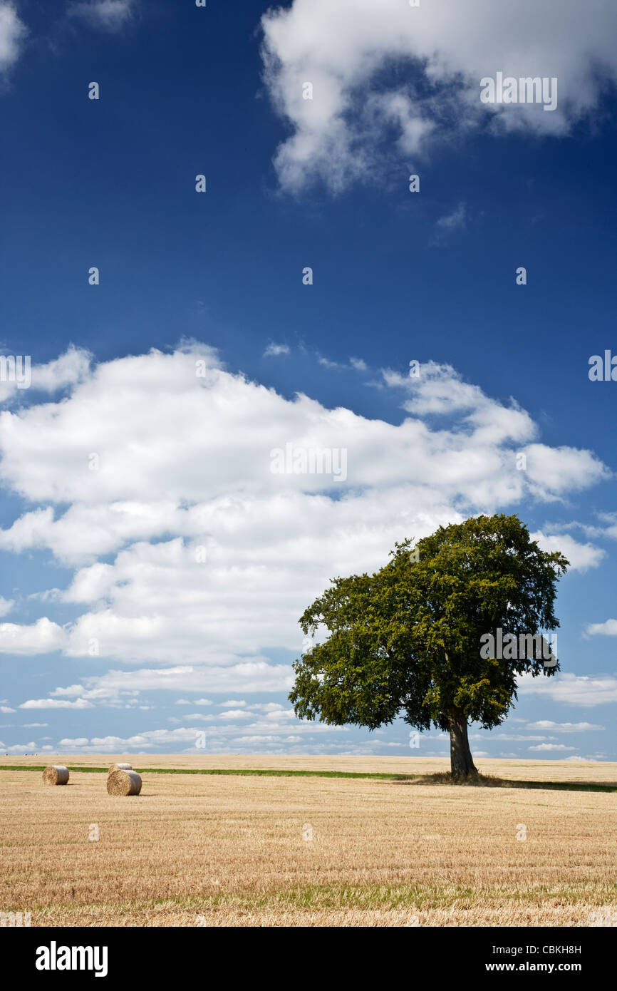 Lonely tree hay bale hi-res stock photography and images - Alamy
