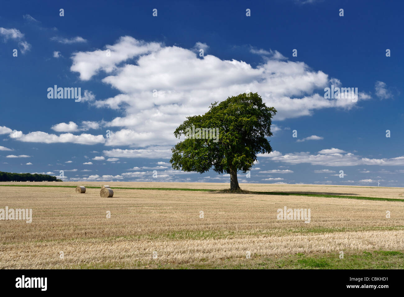 tree & hay bales Stock Photo - Alamy